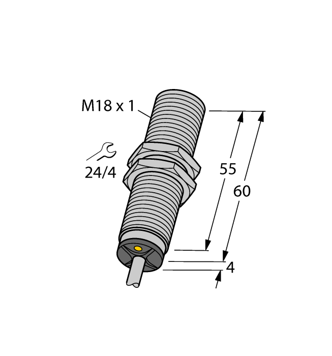 Inductive Sensor - With Analog Output